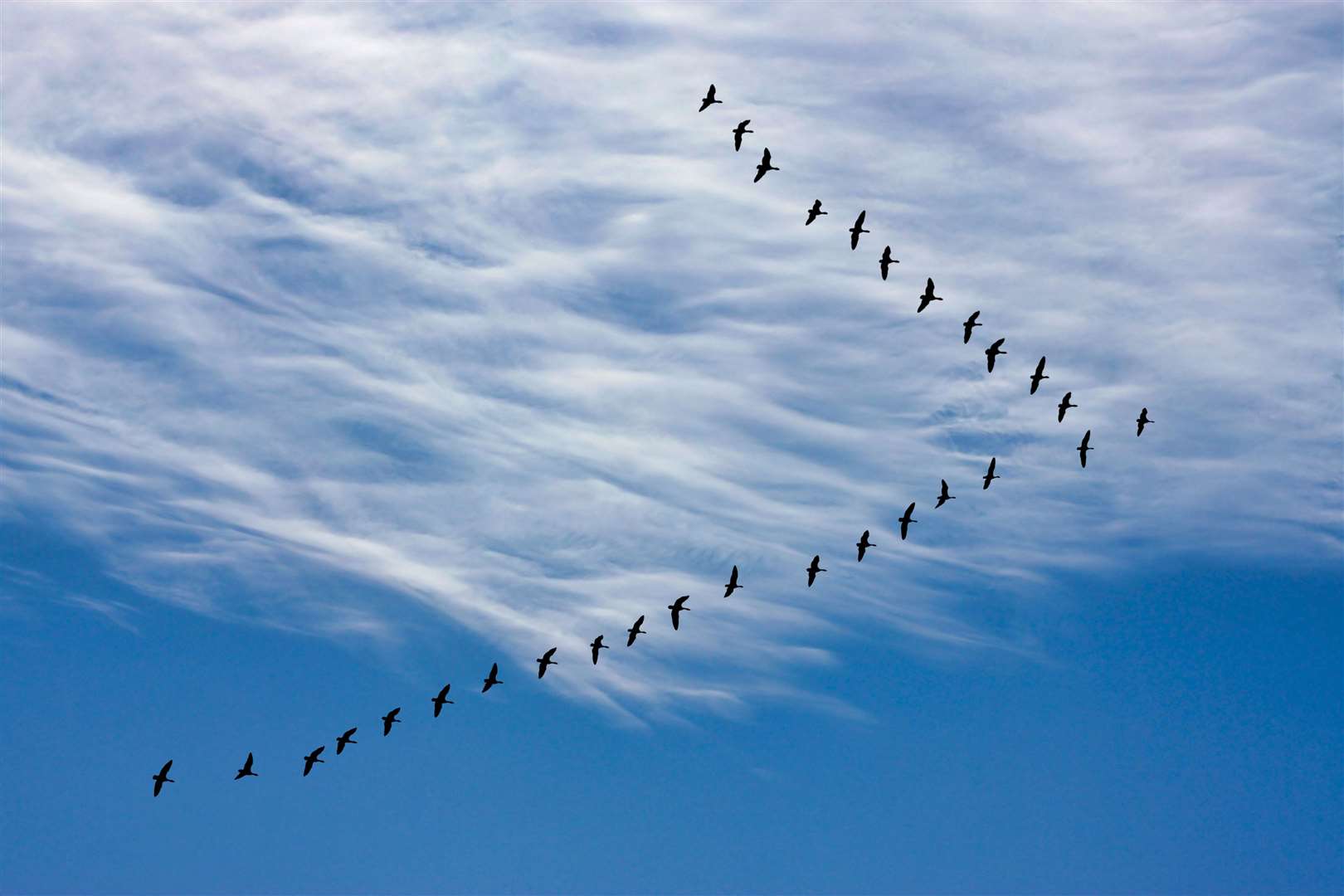 Birds of Feather flock together A three-step mandate for teams that ...